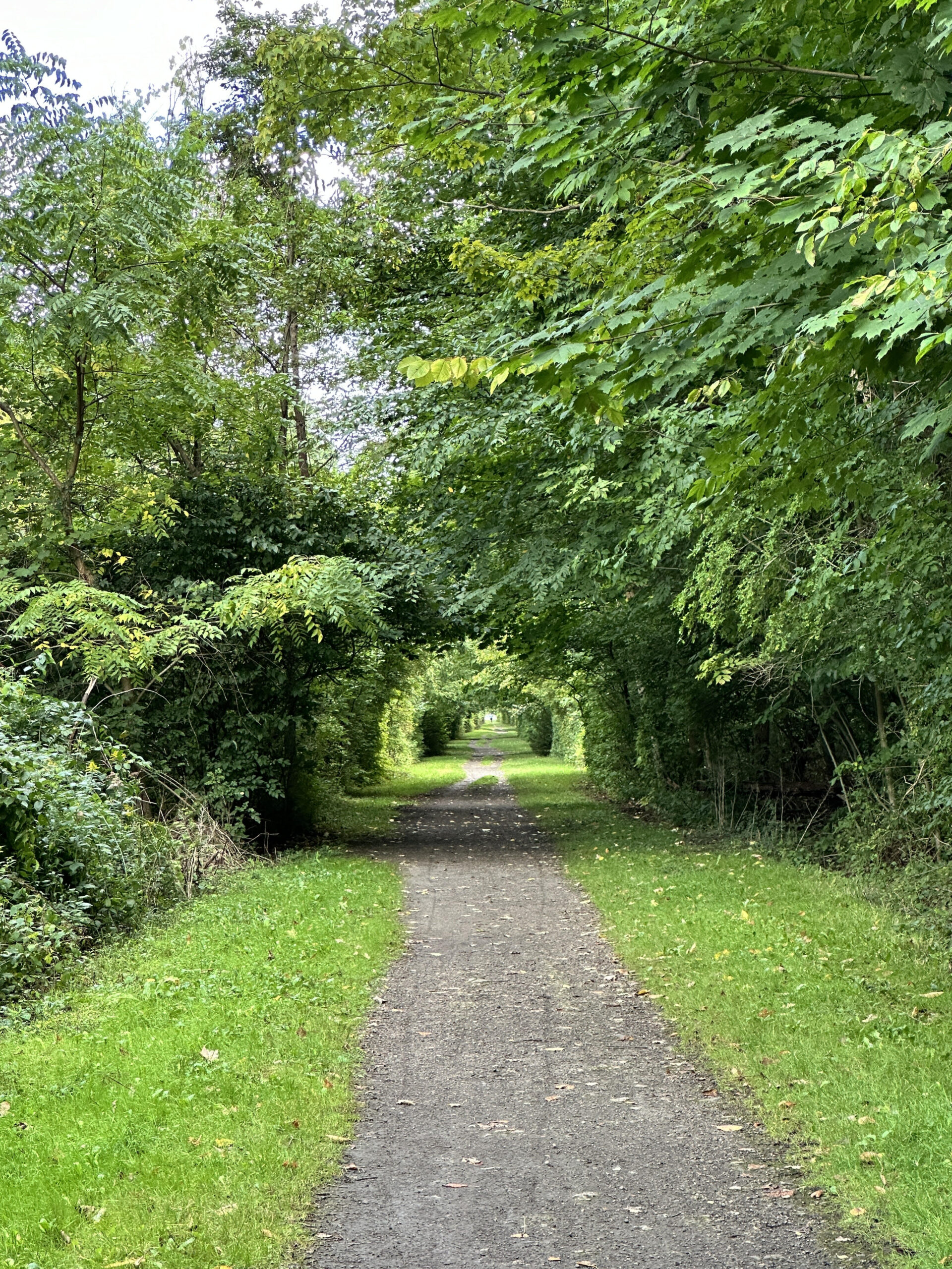 Hojack Trail - Hike and Stroll Rochester