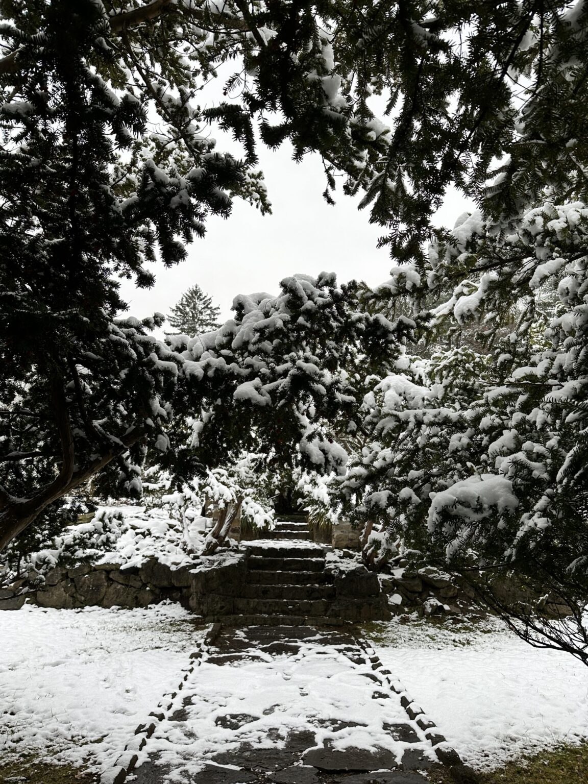 Ellison Park - North Landing Entrance - Hike and Stroll Rochester