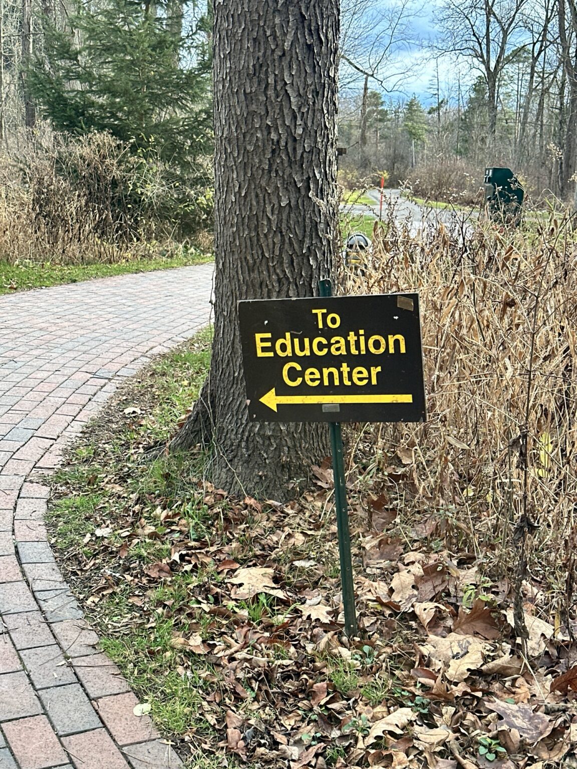 Reinstein Woods Nature Preserve - Play Area - Hike and Stroll Rochester