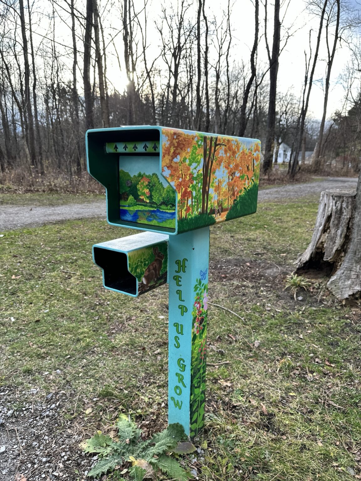 Reinstein Woods Nature Preserve - Play Area - Hike and Stroll Rochester