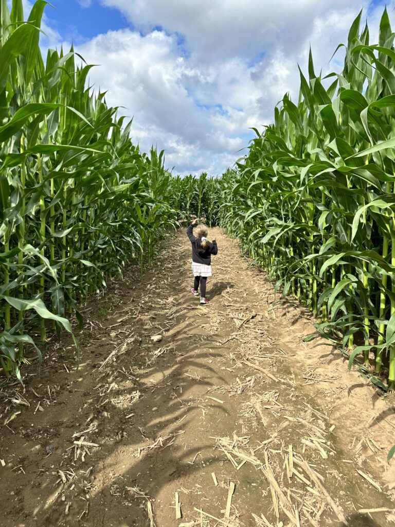 Wickham Farms - Hike and Stroll Rochester