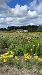 Wickham Farms - Hike and Stroll Rochester