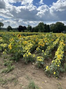 Wickham Farms - Hike and Stroll Rochester