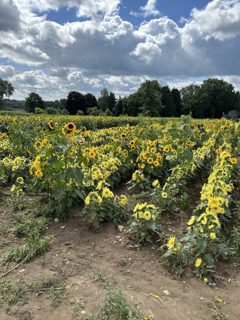 Wickham Farms - Hike and Stroll Rochester