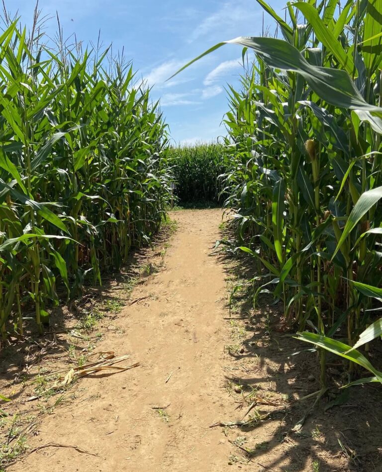 Wickham Farms - Hike and Stroll Rochester