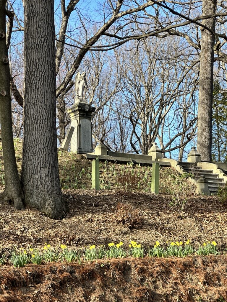 Mount Hope Cemetery - Hike and Stroll Rochester