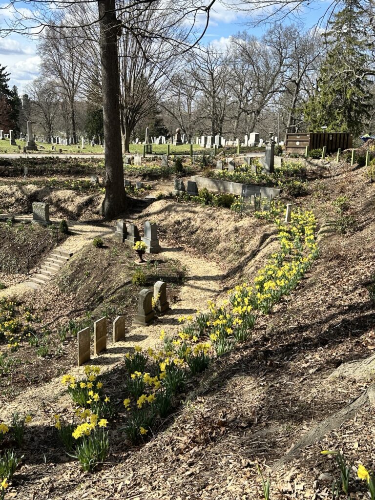 Mount Hope Cemetery - Hike and Stroll Rochester