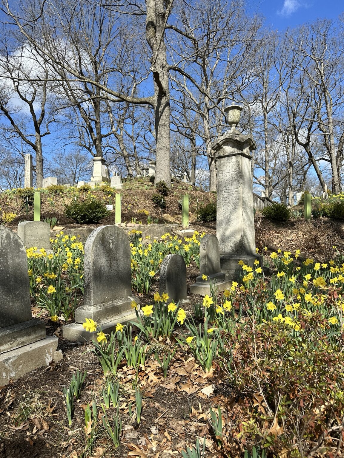 Mount Hope Cemetery - Hike and Stroll Rochester