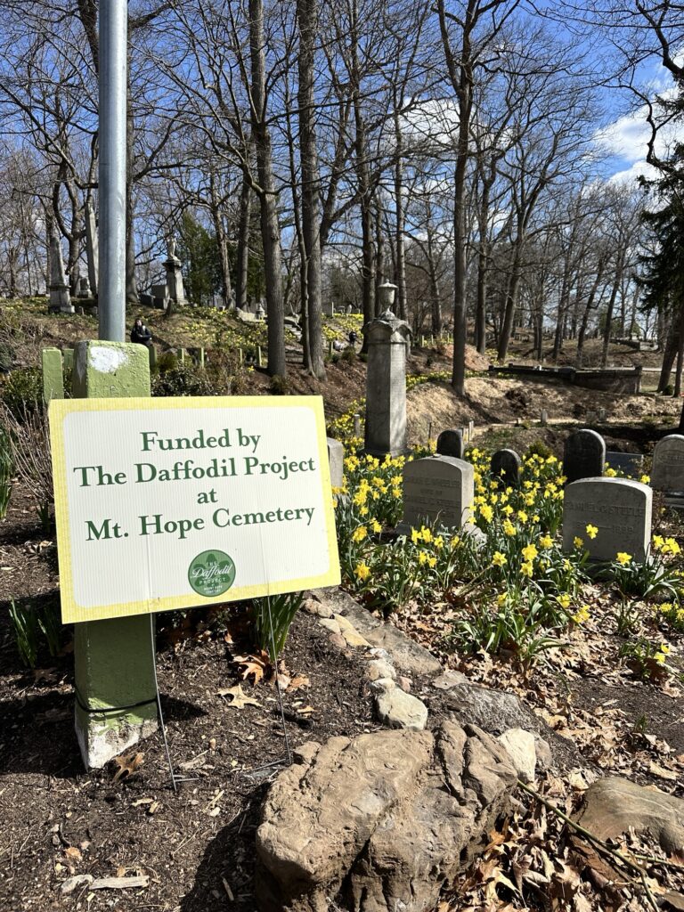 Mount Hope Cemetery - Hike and Stroll Rochester