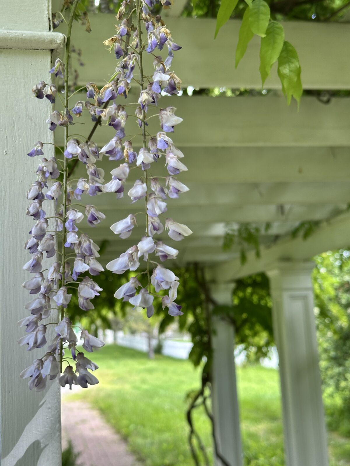 Genesee Country Village & Museum - Historic Village - Hike and Stroll ...