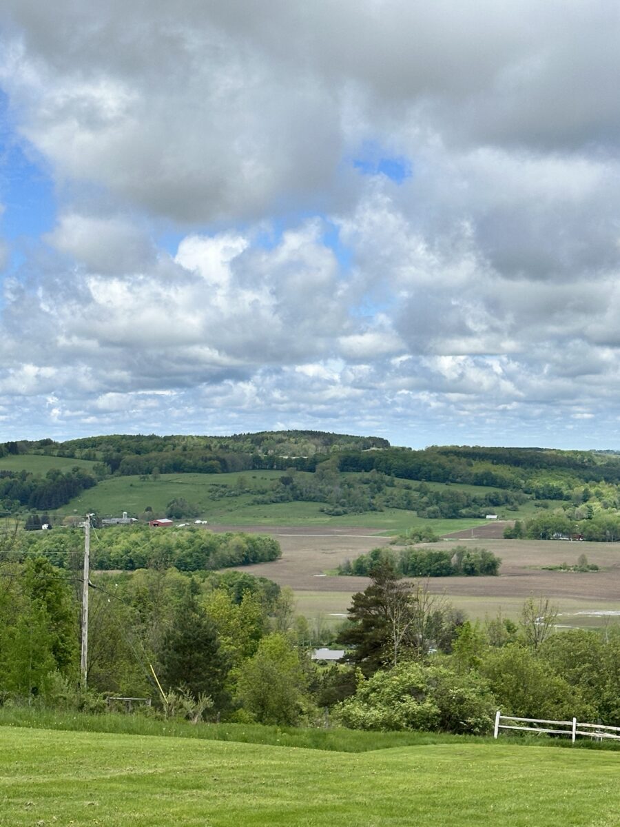 Highland Forest County Park - Skyline Lodge - Hike and Stroll Rochester