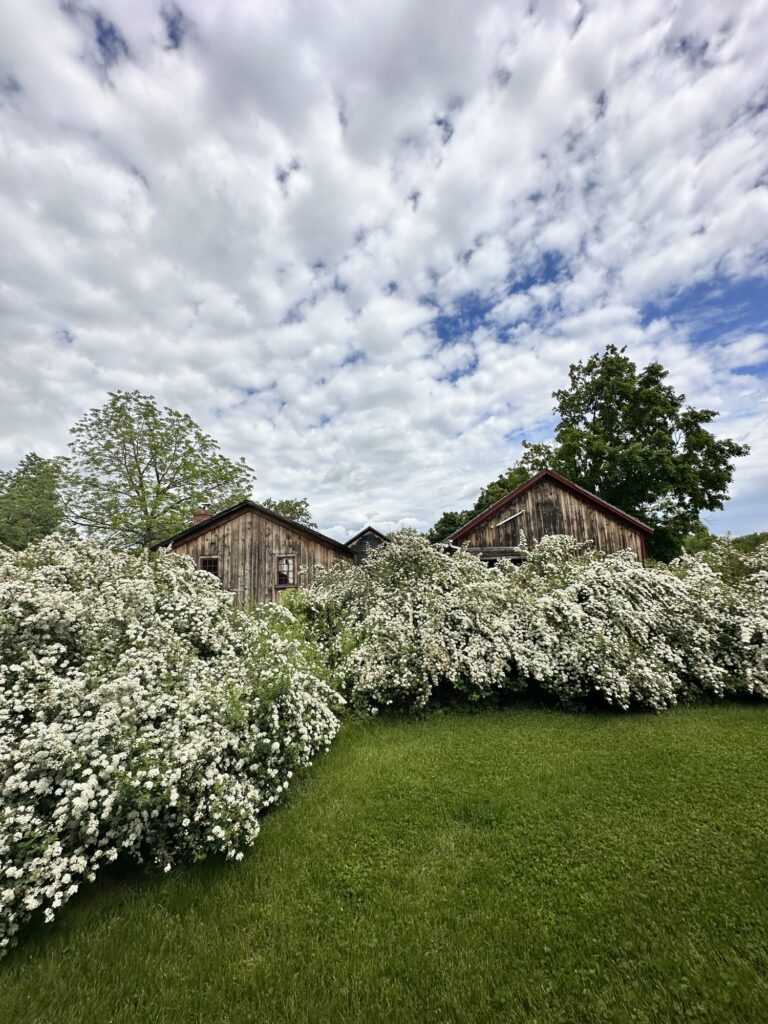 Genesee Country Village & Museum - Historic Village - Hike and Stroll ...